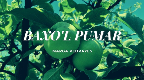 El micromecenalgu de la novela ‘Baxo’l pumar’ entra na so recta final